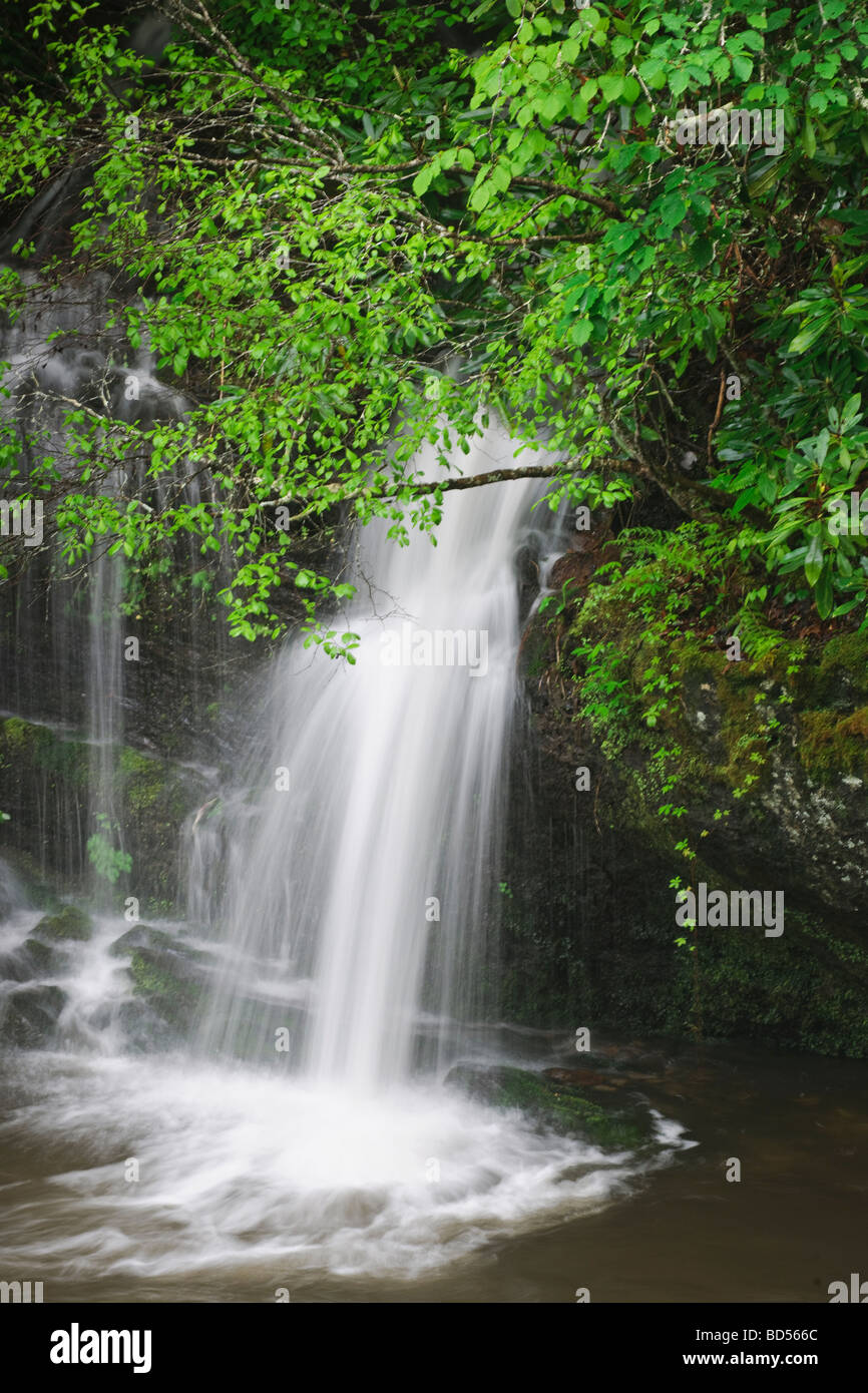 Outdoors scenic trees and rivers hi-res stock photography and images ...