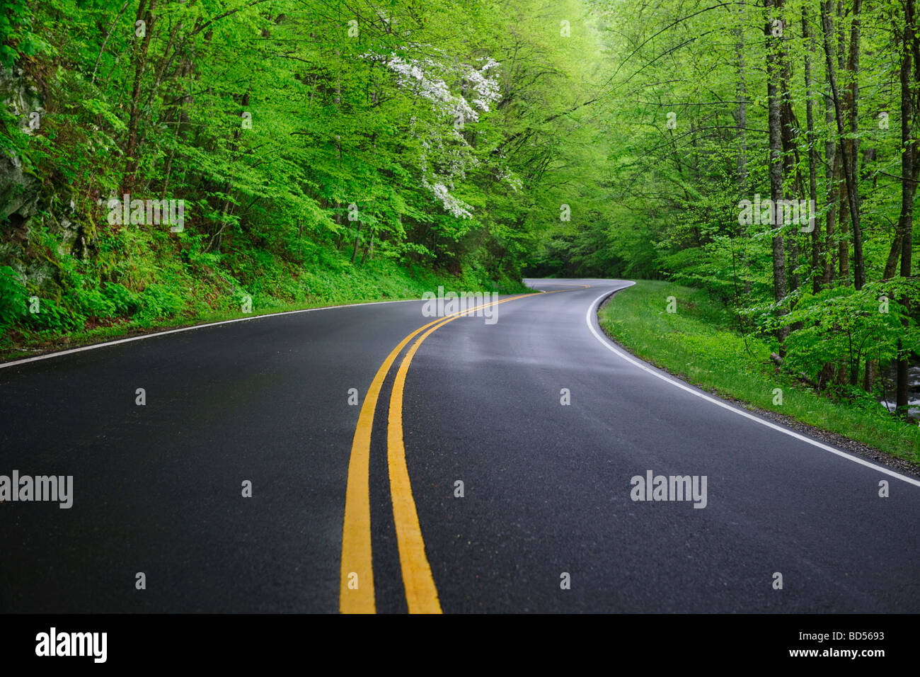 A scenic and empty road Stock Photo - Alamy