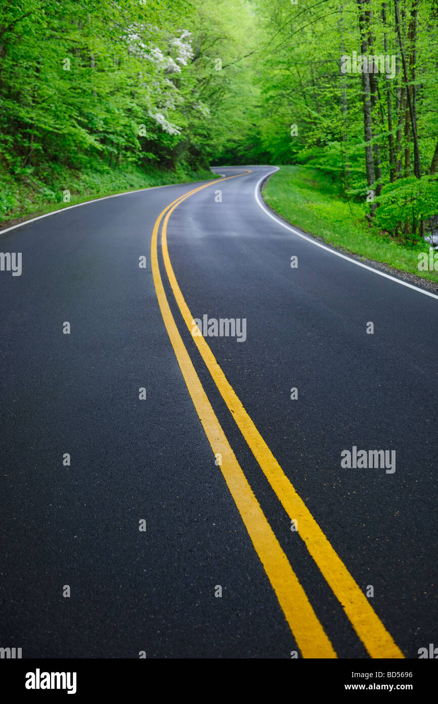 A scenic and empty road Stock Photo - Alamy