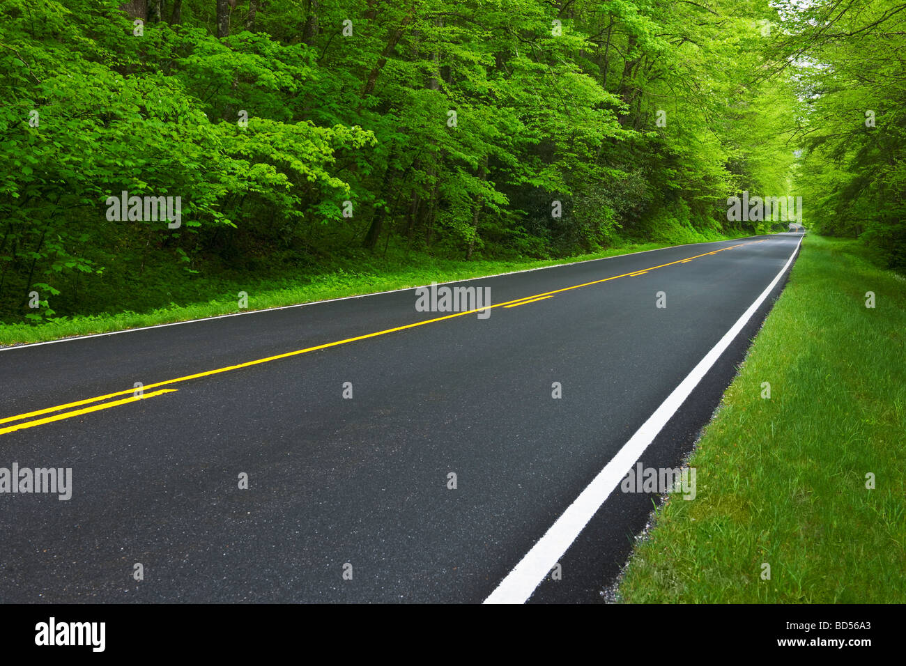 A scenic and empty road Stock Photo - Alamy