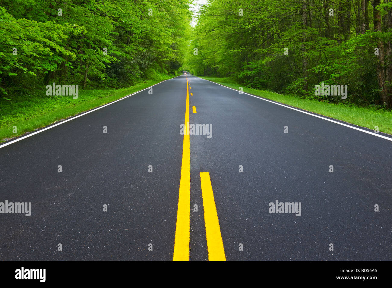 A scenic and empty road Stock Photo - Alamy