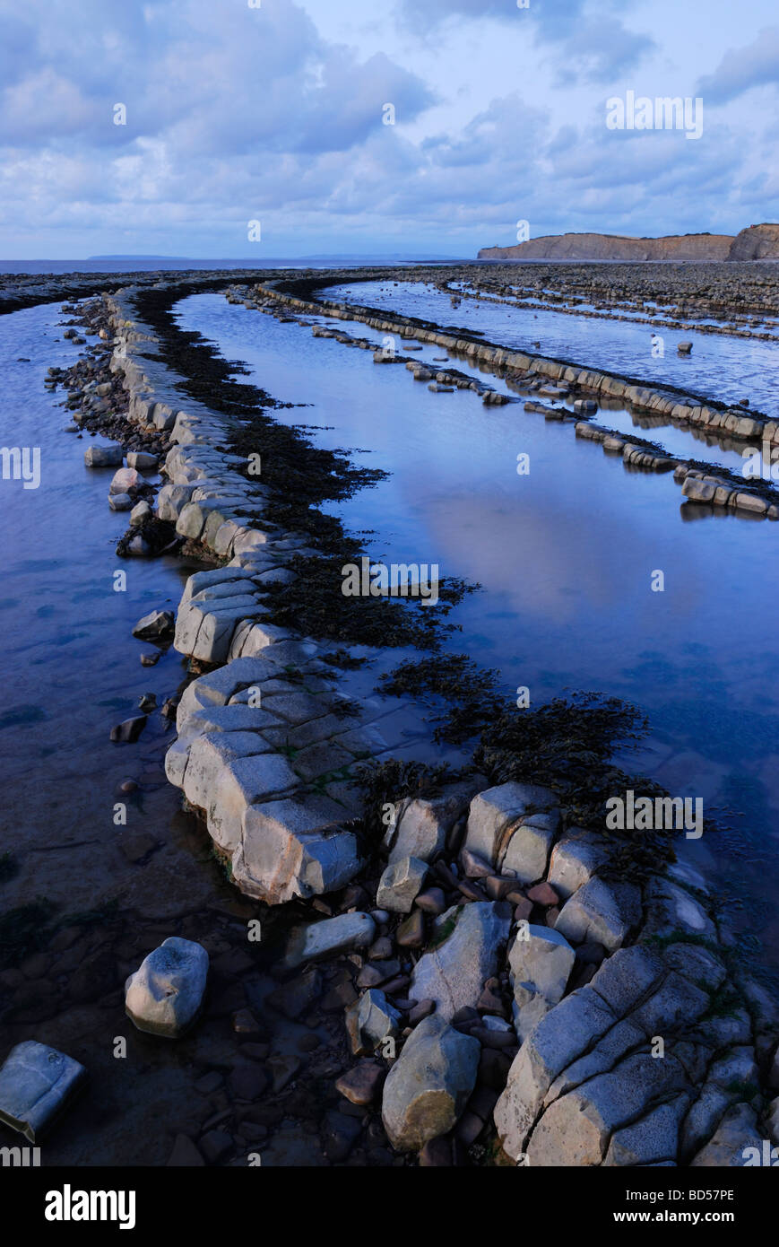 Limestone ledges on Kilve beach, Somerset, England, UK Stock Photo - Alamy