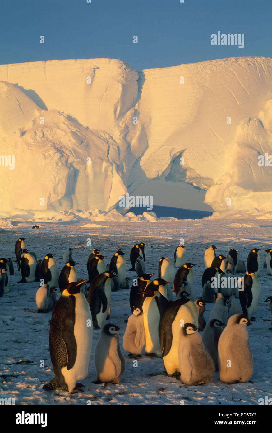 Atka bay hi-res stock photography and images - Alamy