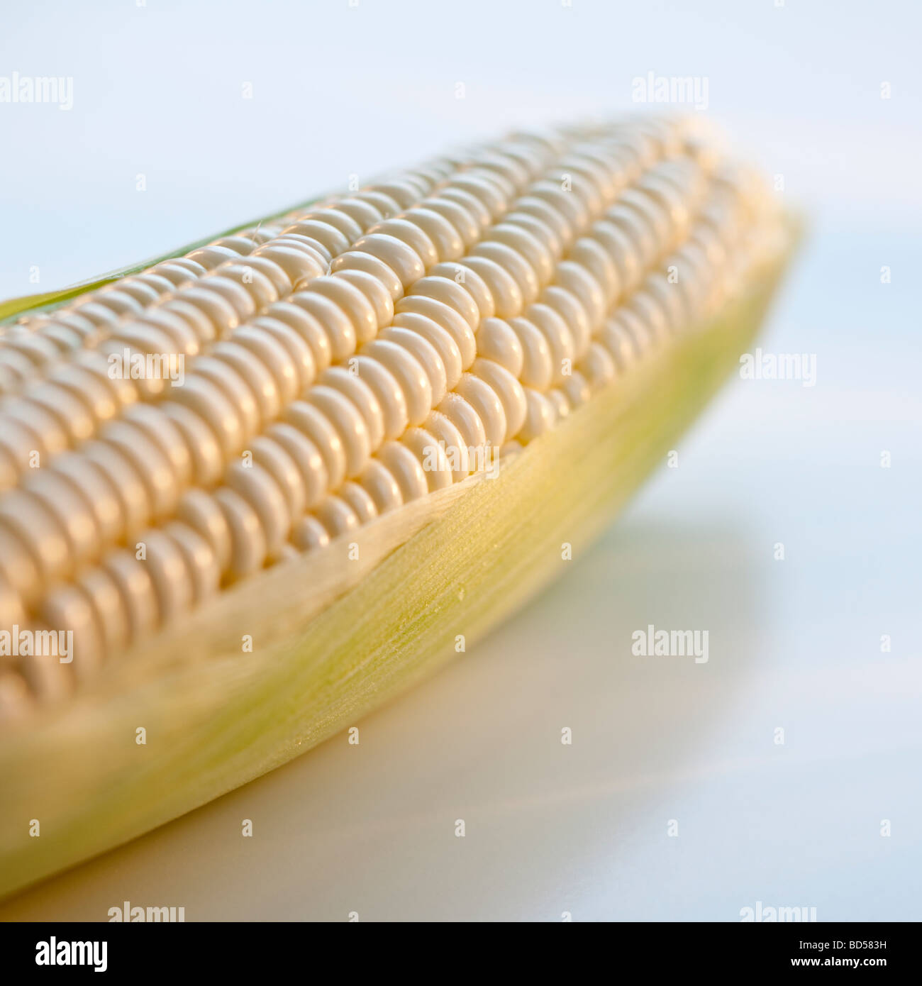 A cob of corn Stock Photo - Alamy