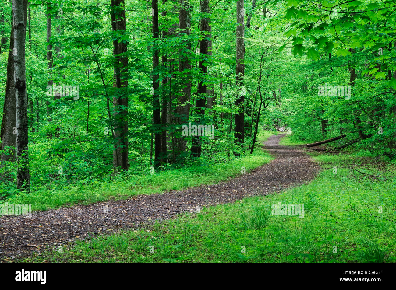A scenic and empty path Stock Photo - Alamy
