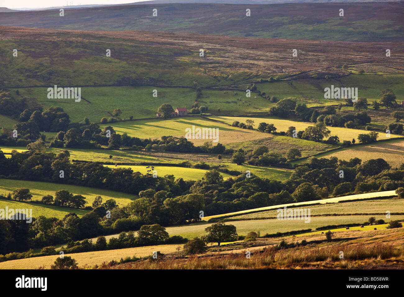 Evening summer sunshine Westerdale North York Moors National Park Stock ...