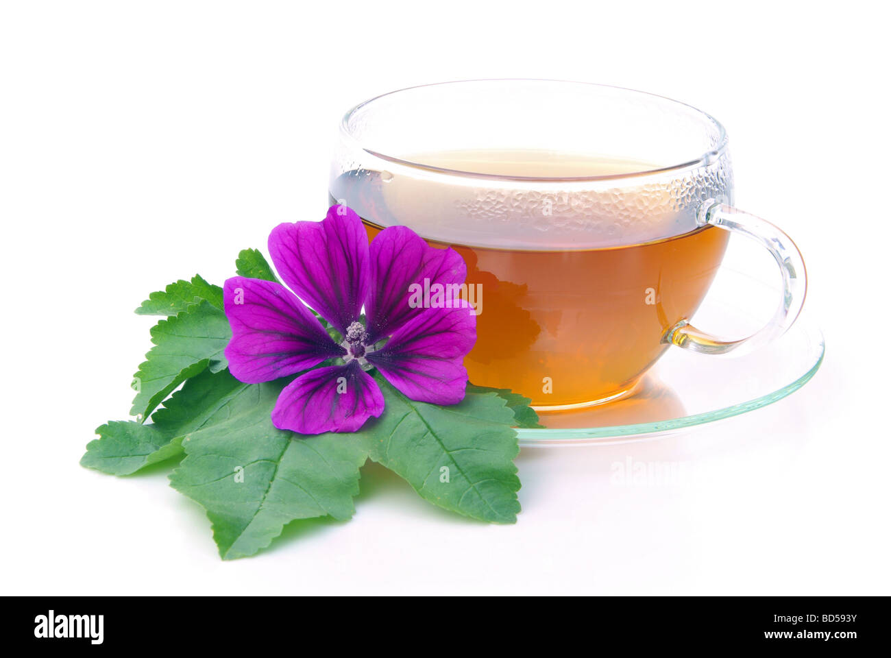 Tee Malve tea malva 06 Stock Photo - Alamy