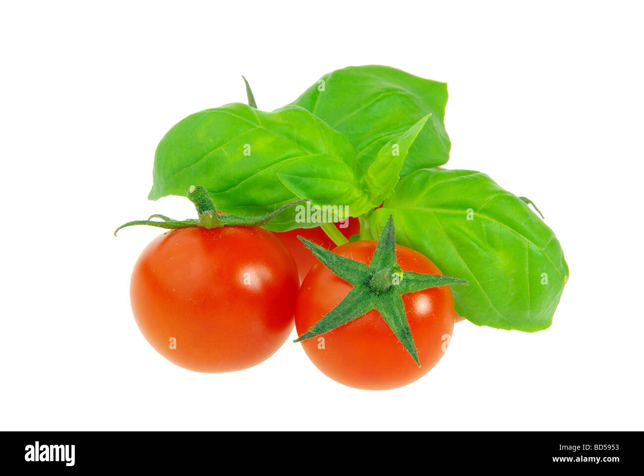 Tomato basil plant hi-res stock photography and images - Alamy