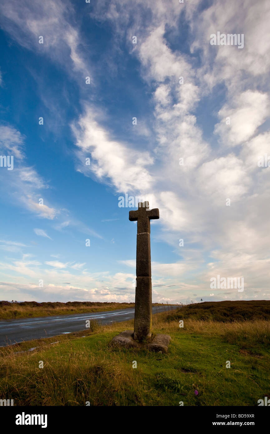 Young Ralphs Cross Westerdale Moor North Yorkshire Moors National Park ...