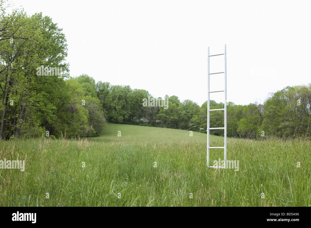 A ladder standing upright in a field Stock Photo - Alamy