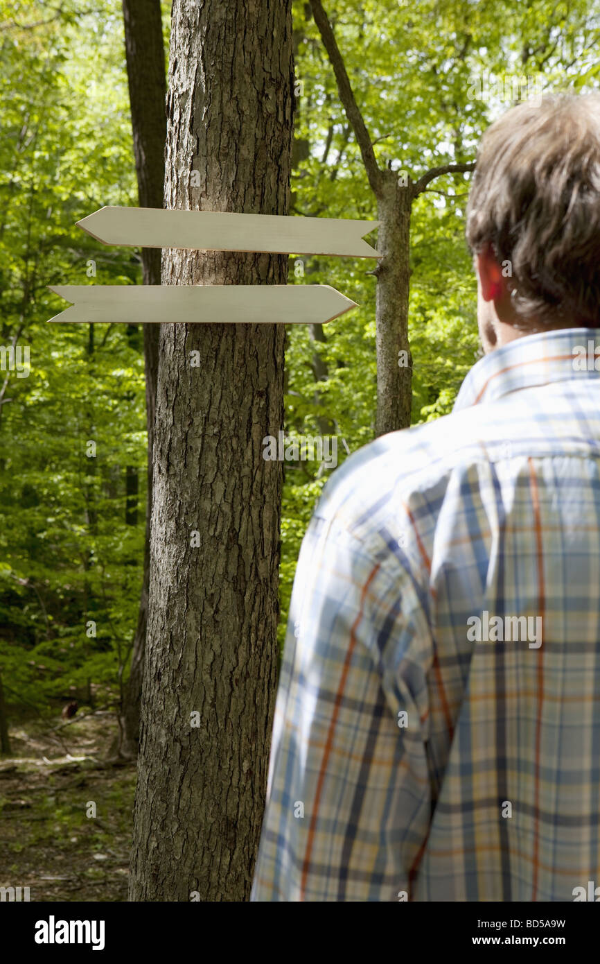 Arrow signs in the woods Stock Photo - Alamy