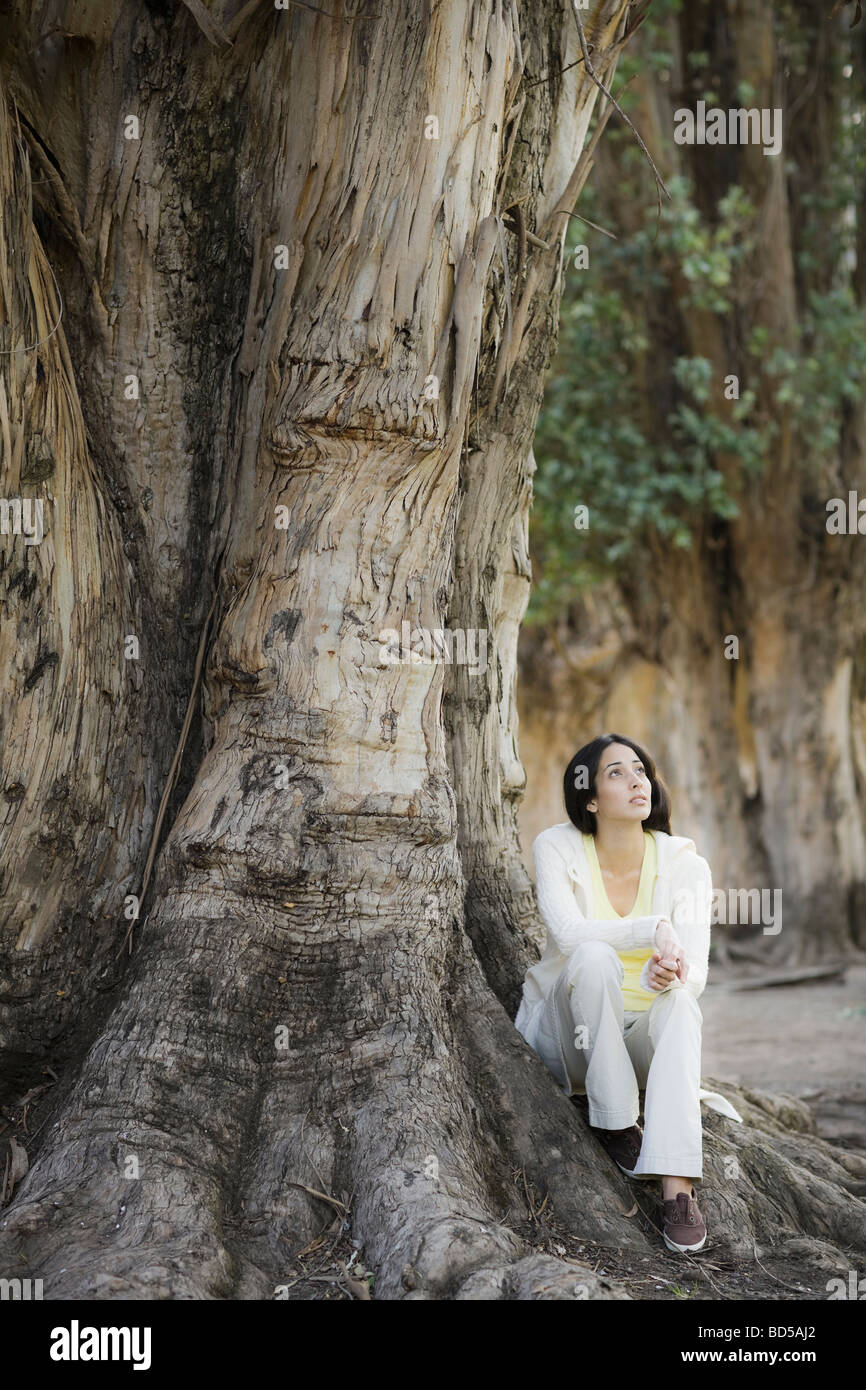 Woman tree trees hi-res stock photography and images - Alamy