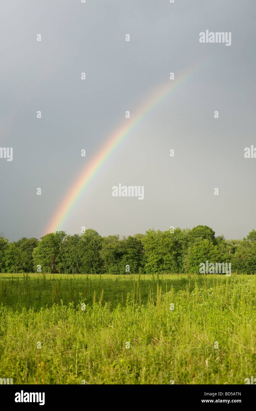 A rainbow in a field Stock Photo - Alamy