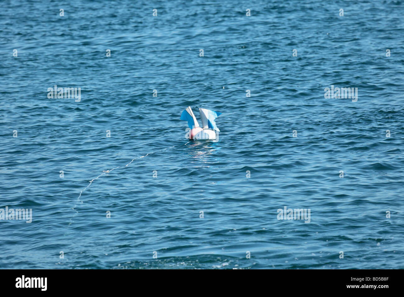 Warning buoy of blue and white flags signals divers below Stock Photo ...