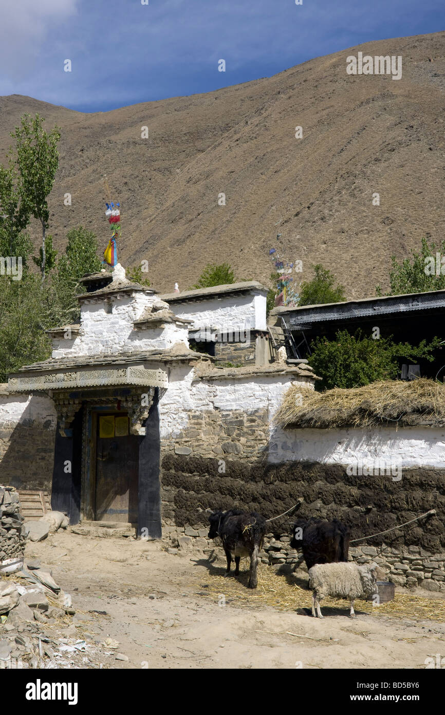 Tibetan farm hi-res stock photography and images - Alamy