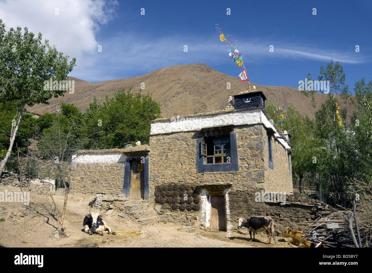 traditional tibetan farm house in the village of mindroling Stock Photo ...