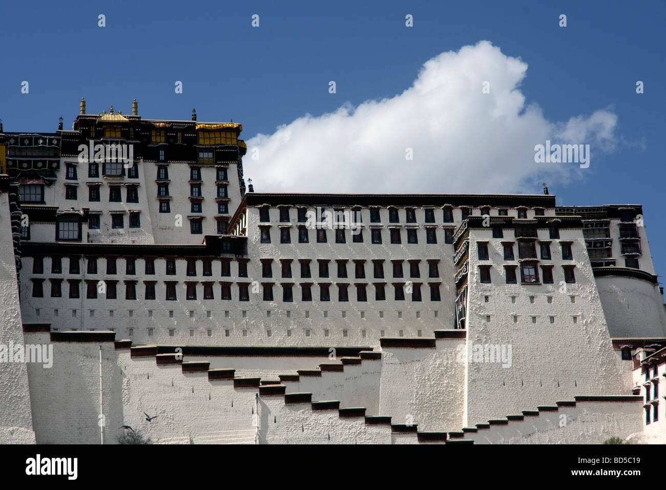 view of the potala palace Stock Photo - Alamy