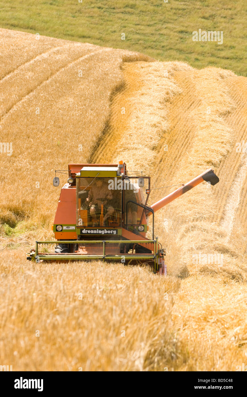 Cropfield hi-res stock photography and images - Alamy