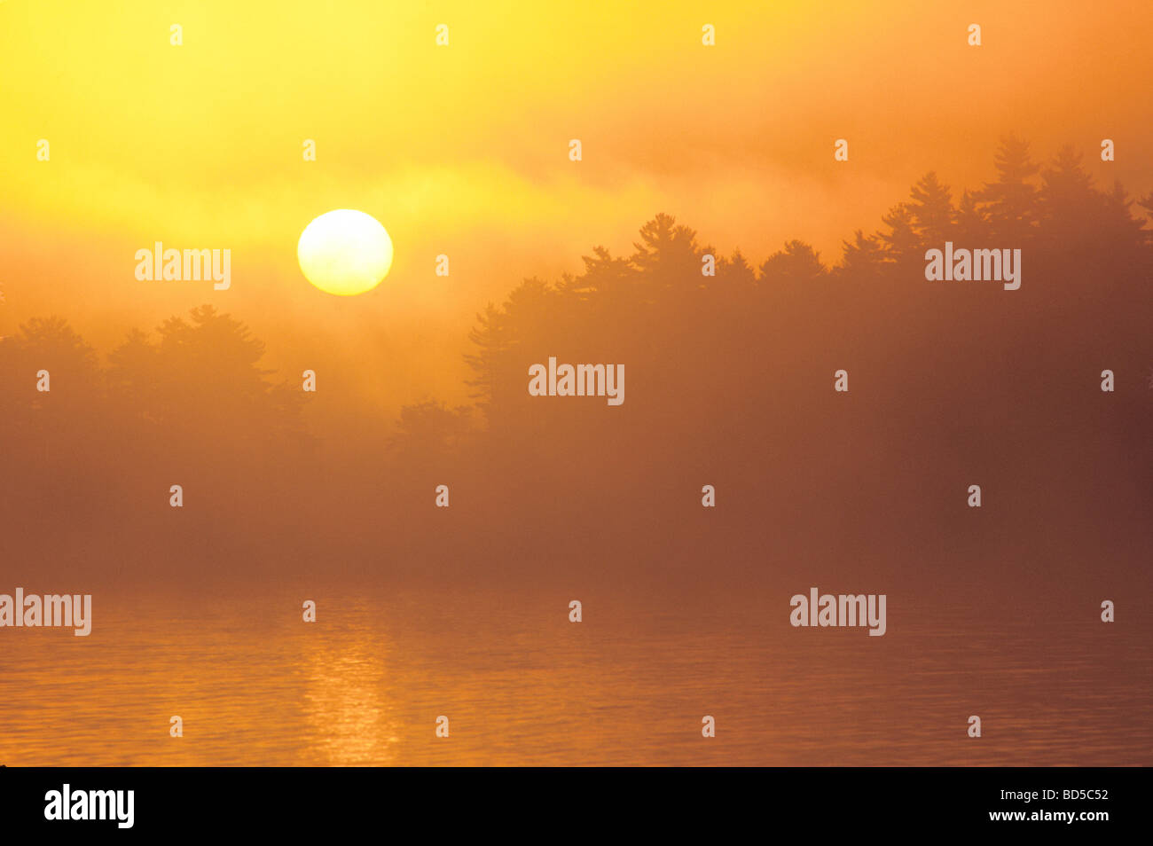 Sunset at a lake Stock Photo - Alamy