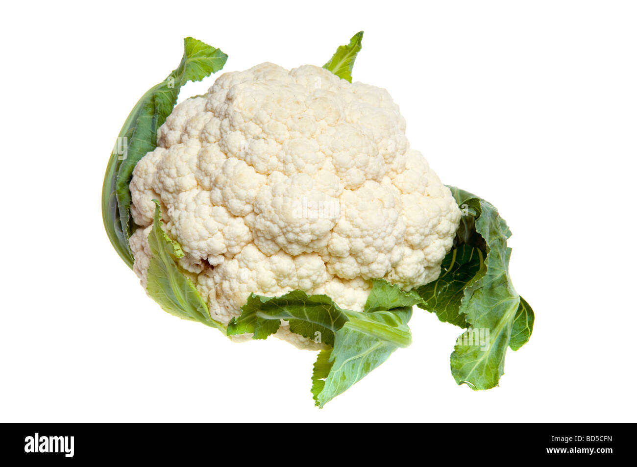 Cauliflower Floret High Resolution Stock Photography and Images - Alamy
