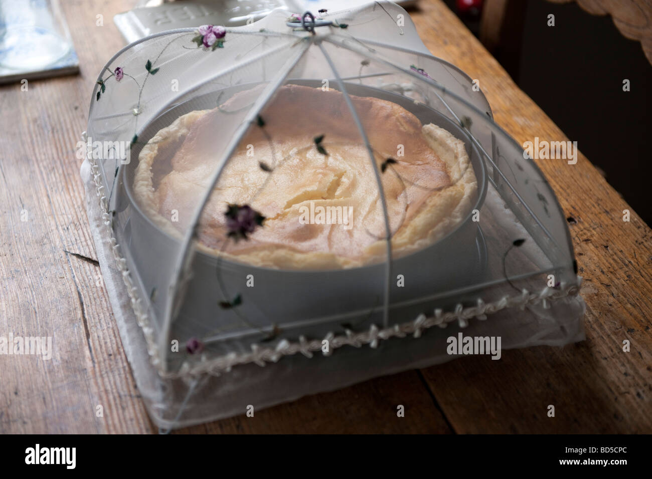 Fly net covering food hi-res stock photography and images - Alamy