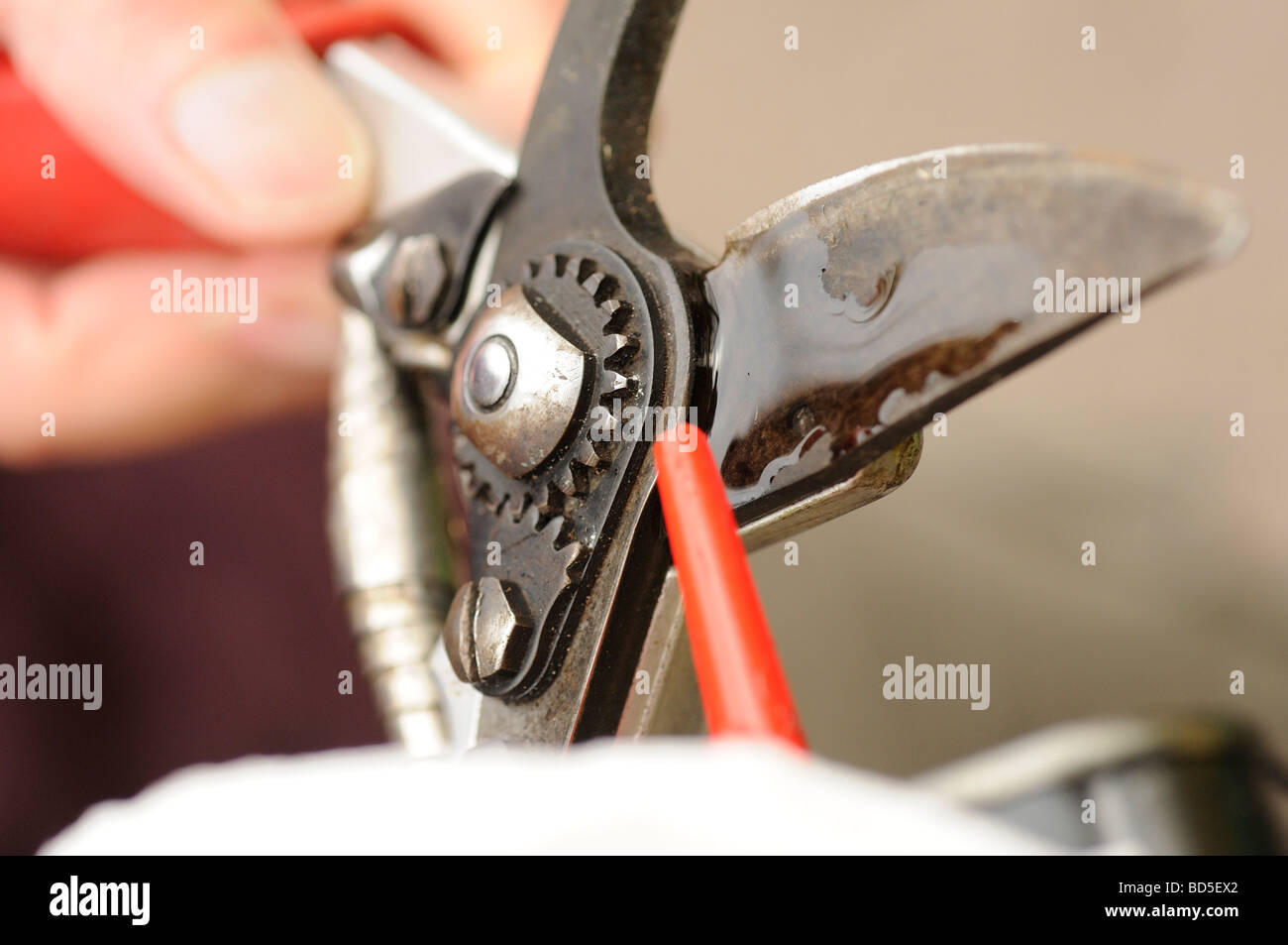 Oiling tools garden hi-res stock photography and images - Alamy