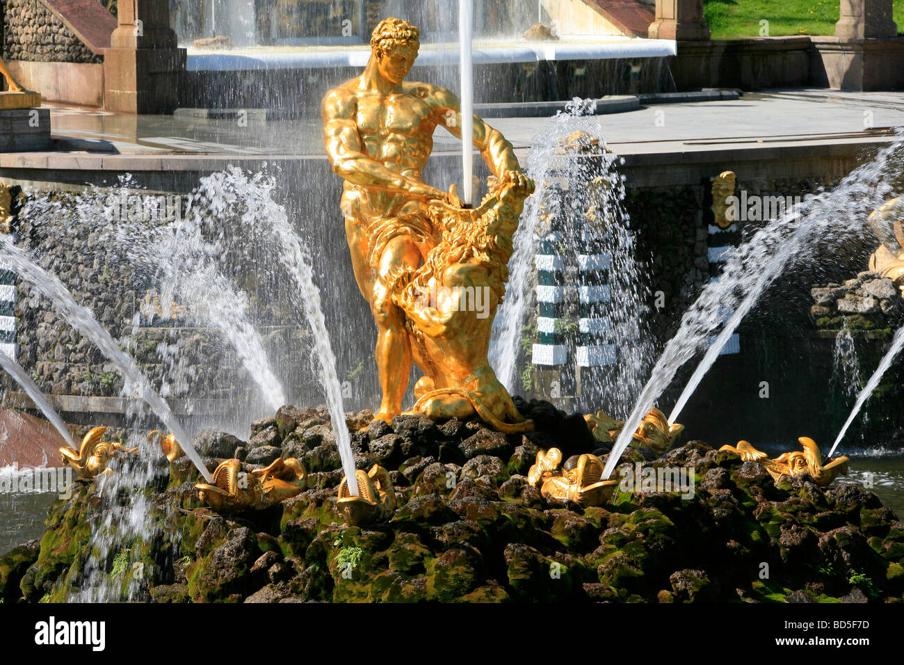 Close-up of the Samson Fountain at Peterhof in Saint Peterburg Stock ...