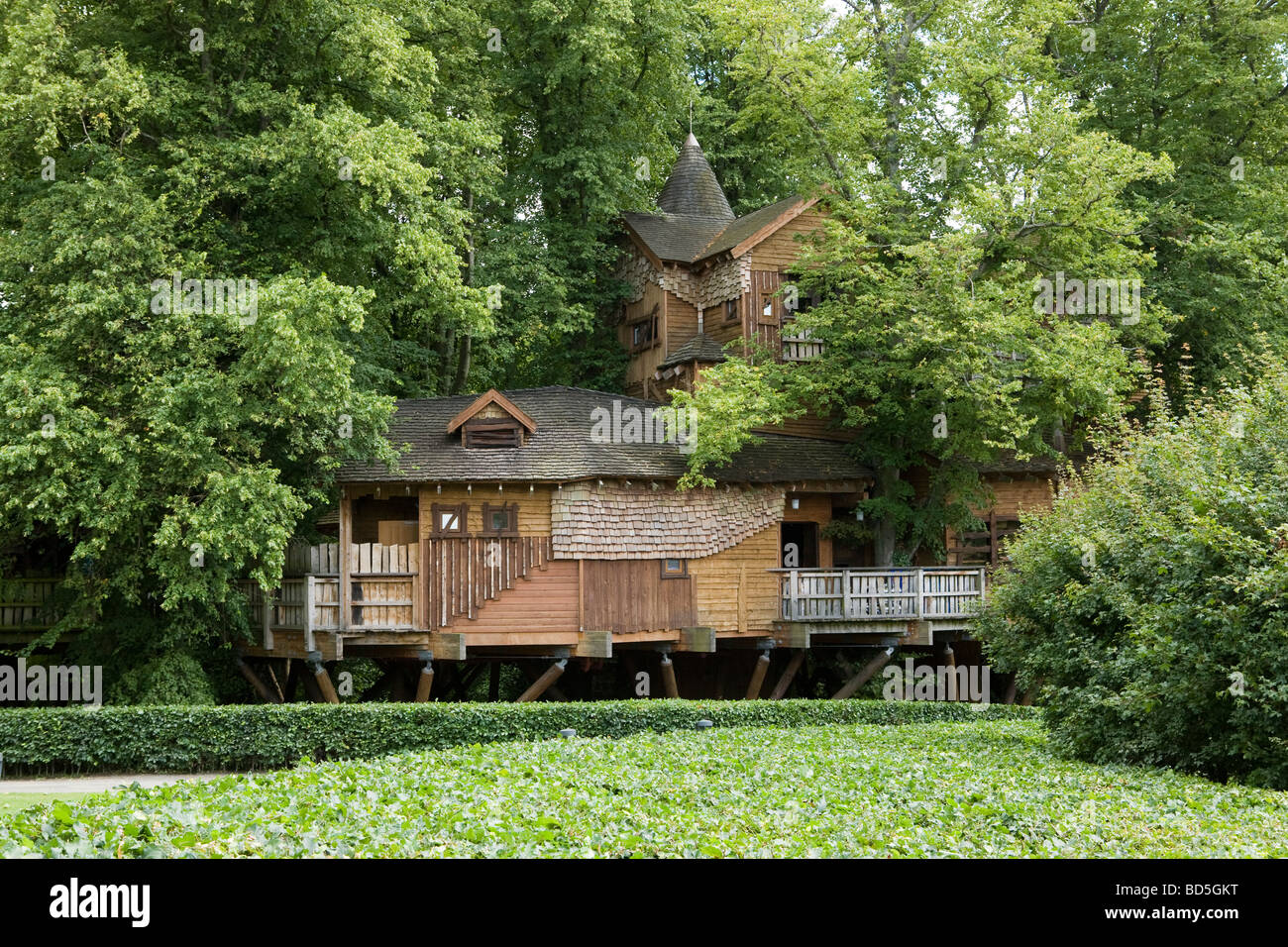 The tree house in Alnwick Gardens Stock Photo - Alamy