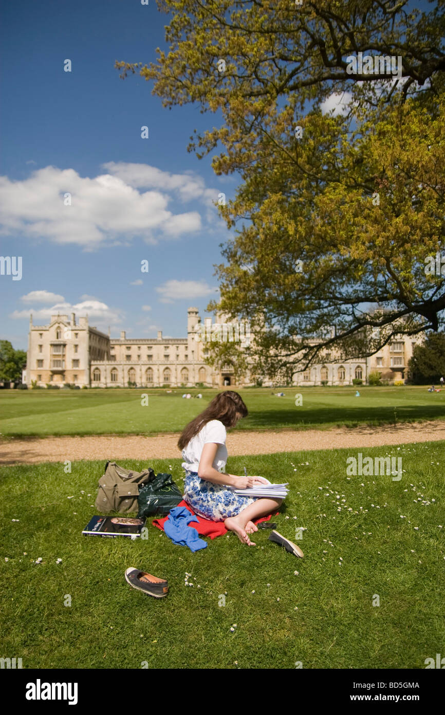 Cambridge studying hi-res stock photography and images - Alamy