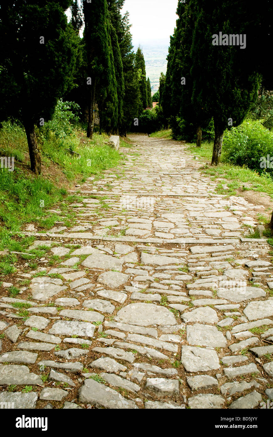 Tree lined pathway, Via Santa Croce, Cortona, Tuscany Italy Stock Photo ...