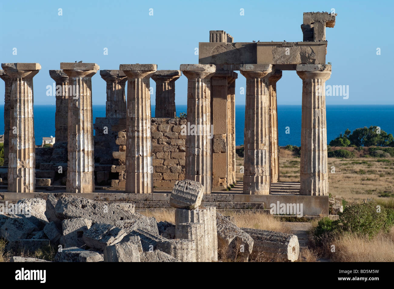 Temple E at Selinunte, Sicily, viewed from the north Stock Photo - Alamy