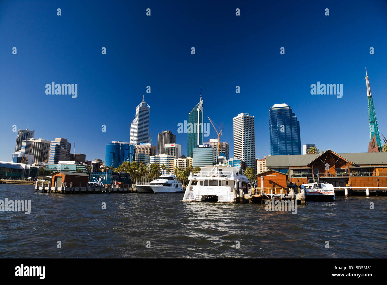 Perth swan river with swan hi-res stock photography and images - Alamy