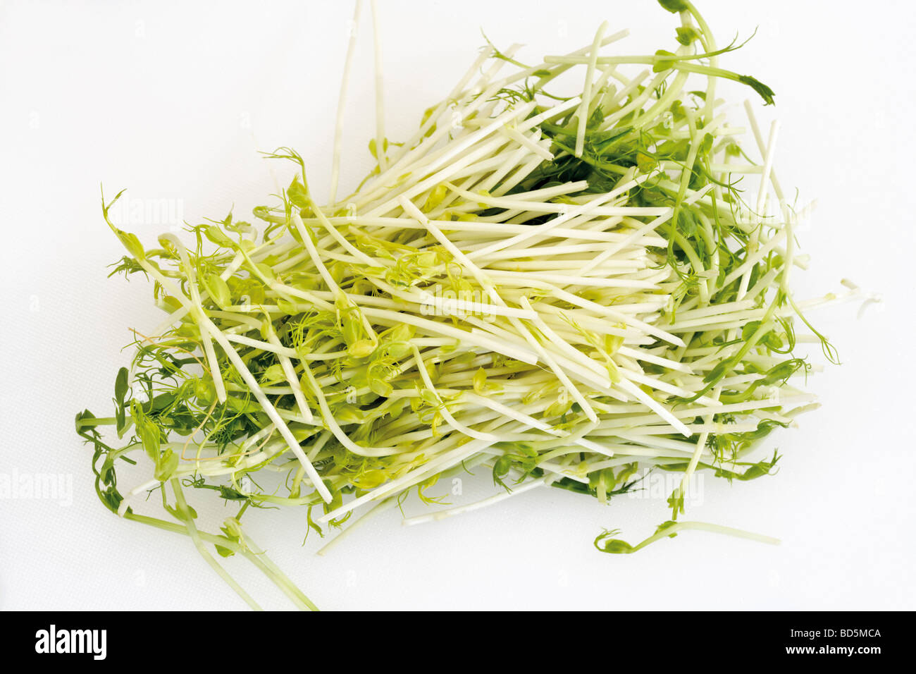 Green Peez sprouts Stock Photo - Alamy