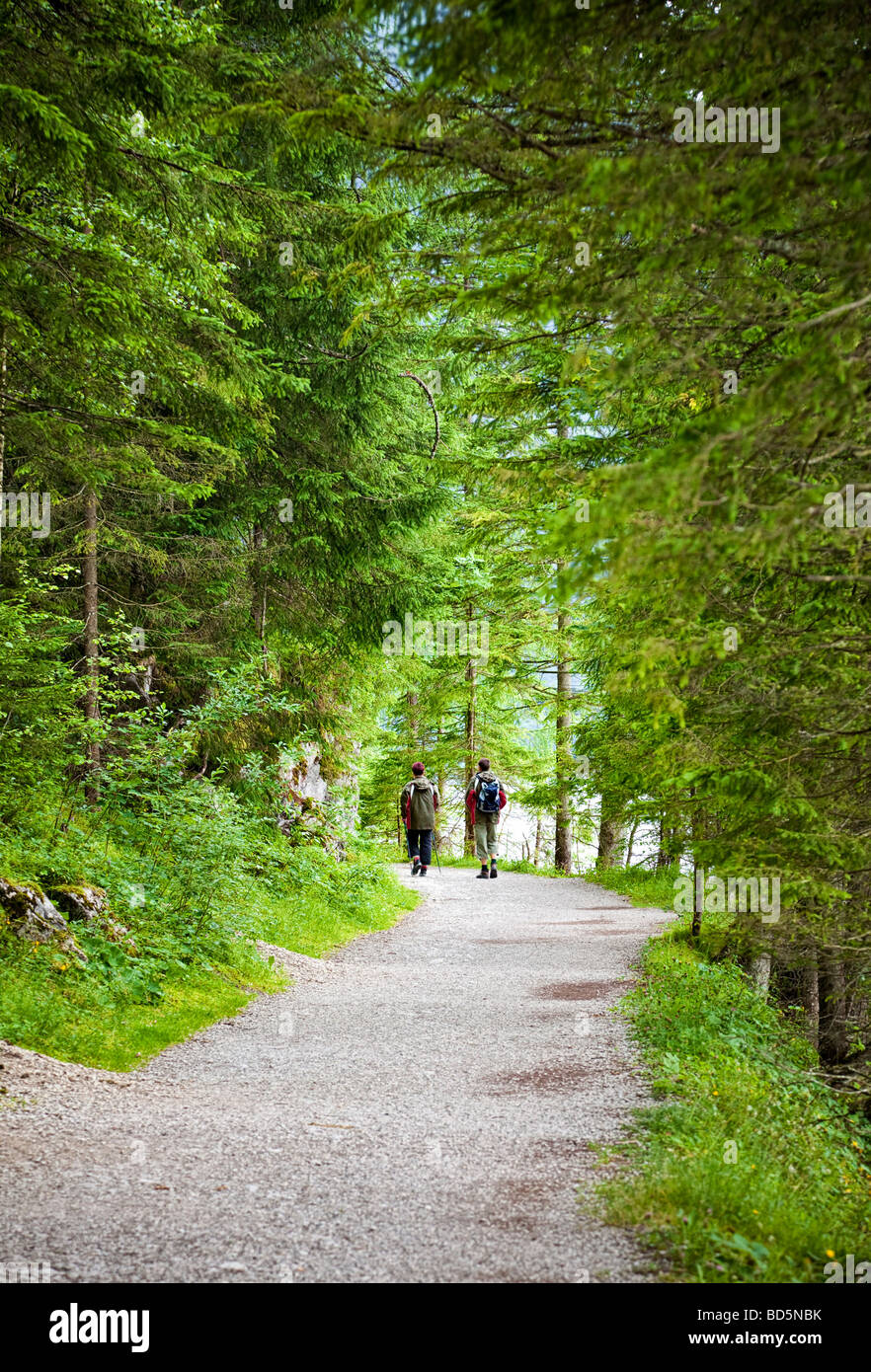 People walking on a trail hi-res stock photography and images - Alamy