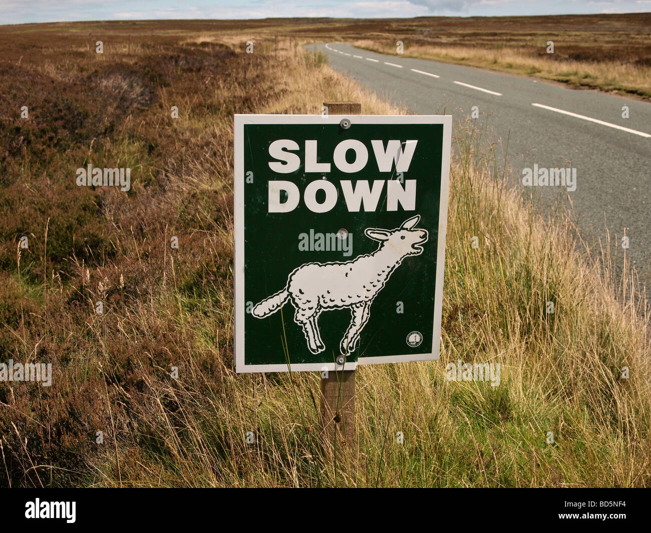 Warning sign to slow down for lambs on road Stock Photo - Alamy