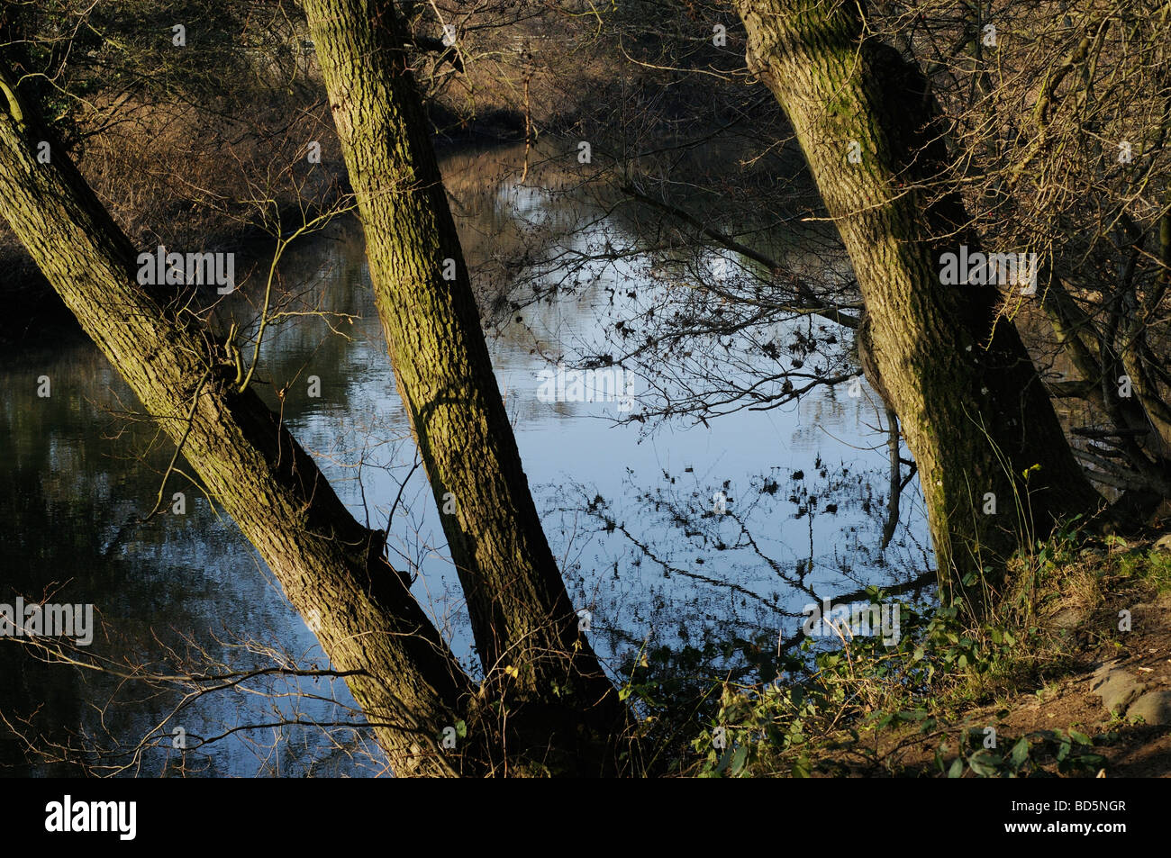 Elmbridge surrey river hi-res stock photography and images - Alamy