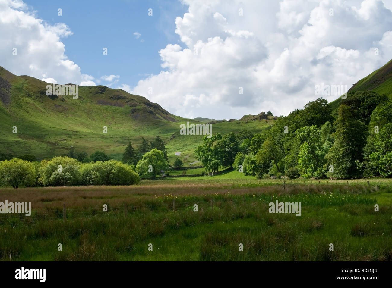 Lakeland fells, the Lake District, Cumbria, UK Stock Photo - Alamy