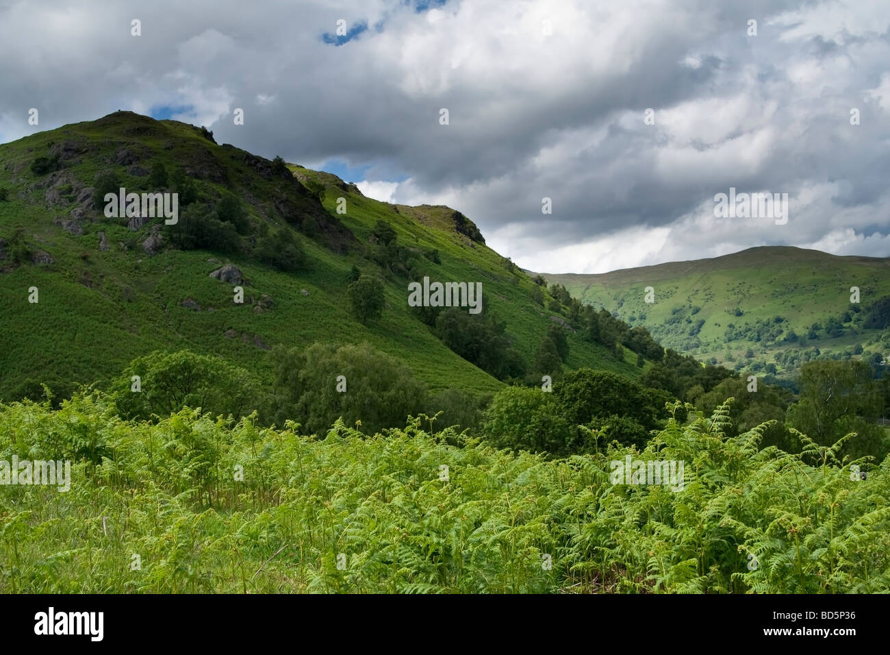 Lakeland fells, the Lake District, Cumbria, UK Stock Photo - Alamy