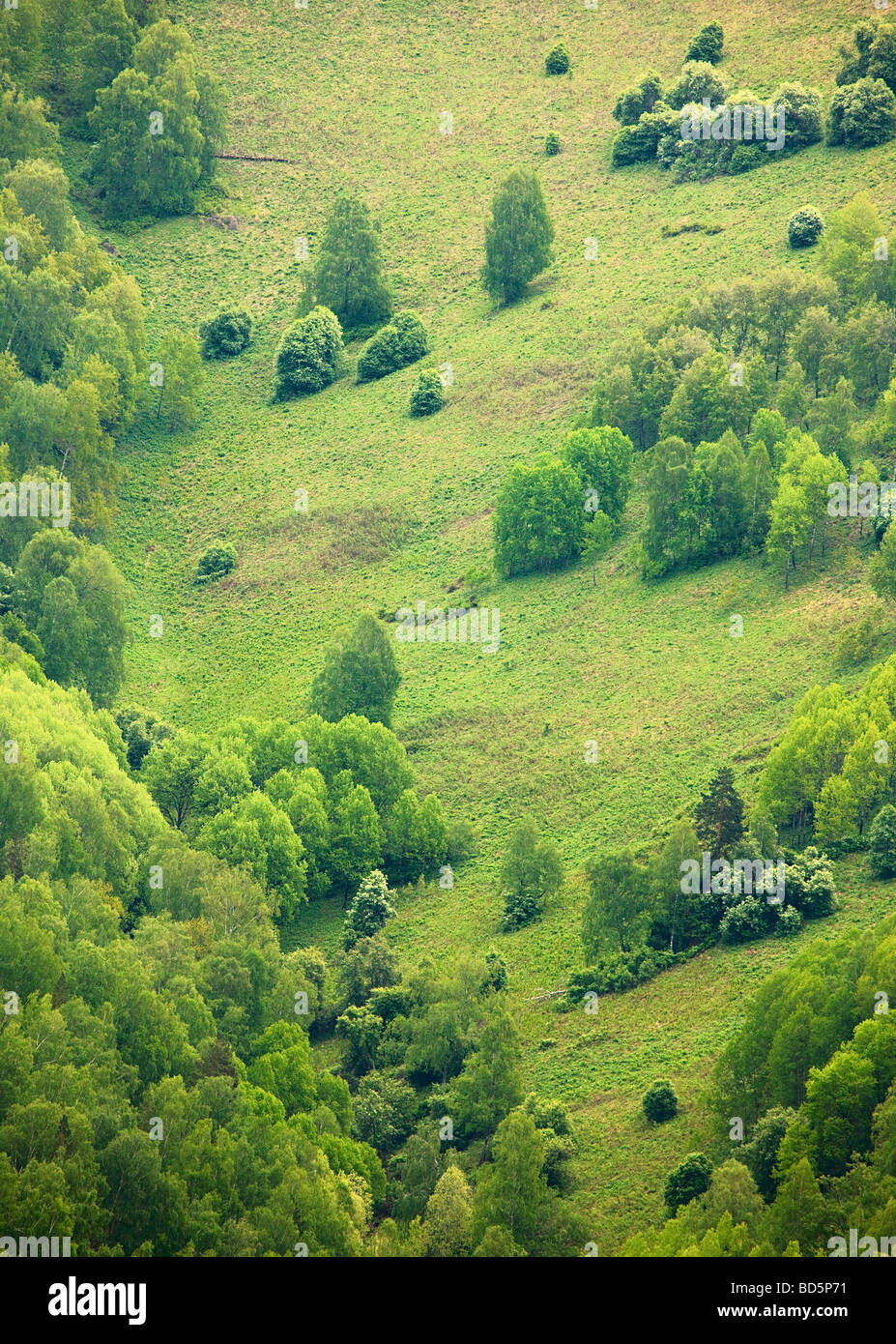 Altay Mountain High Resolution Stock Photography and Images - Alamy