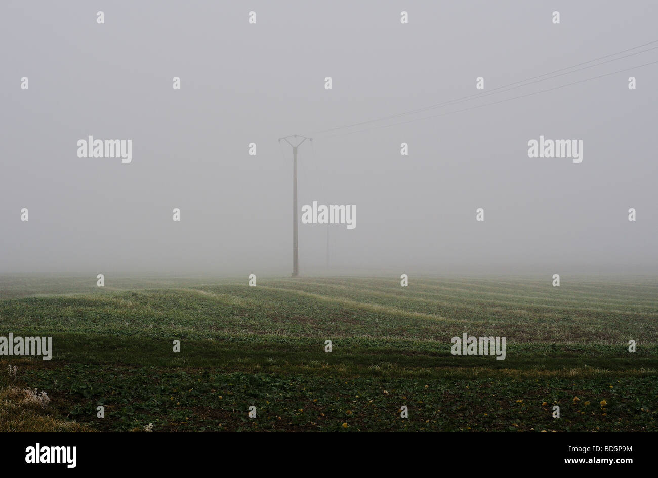 Electricity poles in france electricity hi-res stock photography and ...