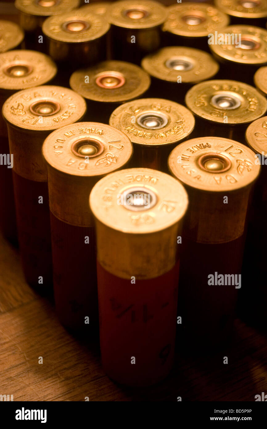12 guage shotgun cartridges / shells as used by the hunters during ...