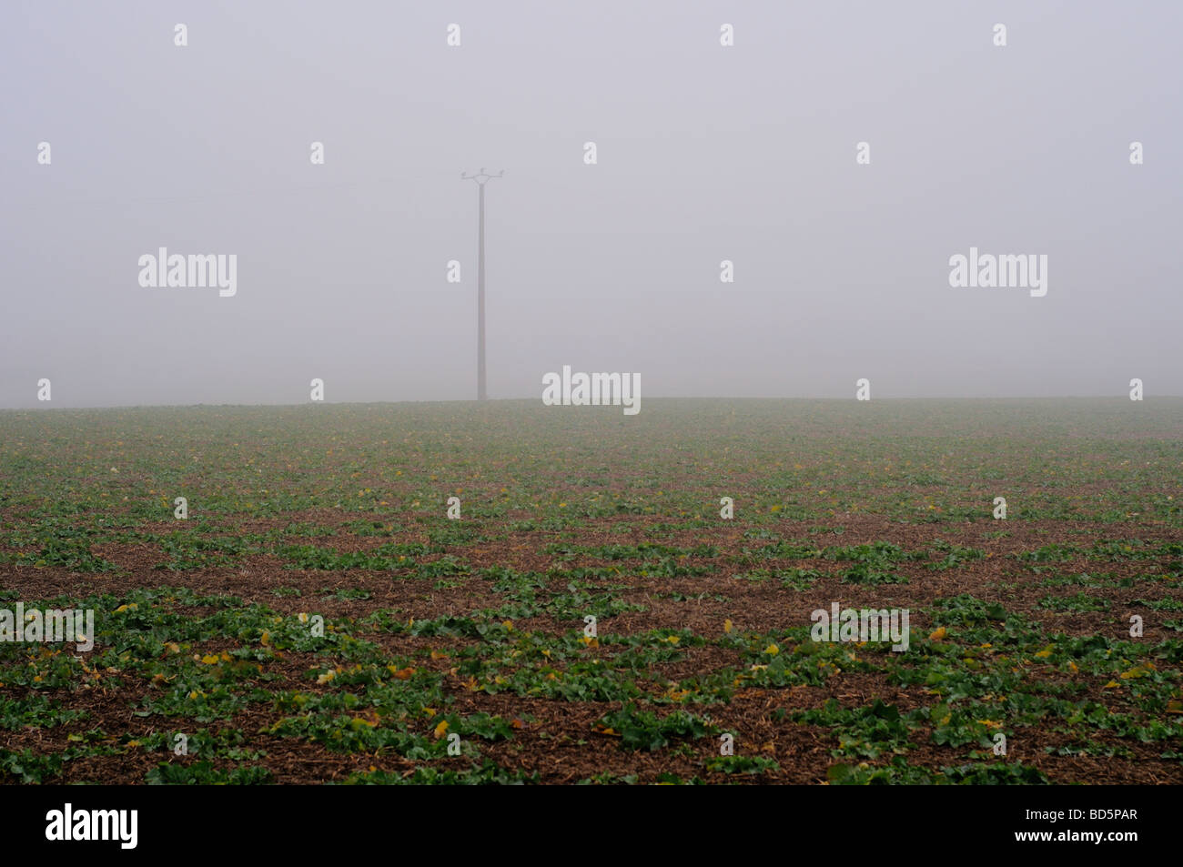 Electricity poles in france electricity hi-res stock photography and ...