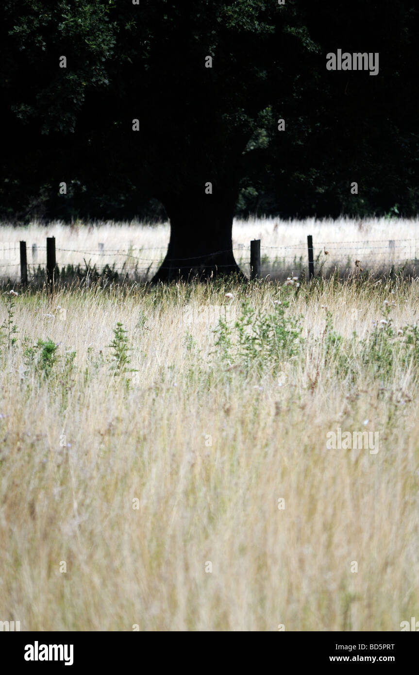 Farmers long hi-res stock photography and images - Alamy