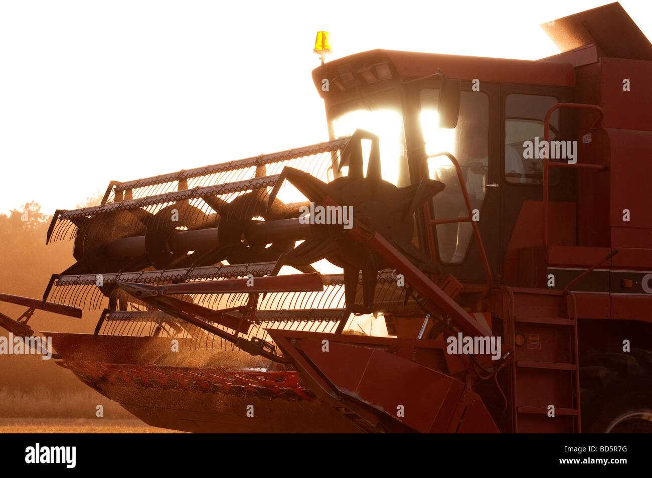 Tourine hi-res stock photography and images - Alamy