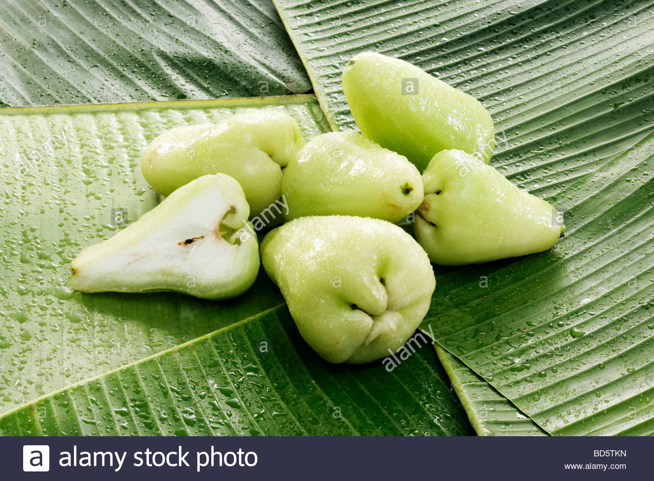 Java Apple Stock Photos & Java Apple Stock Images - Alamy