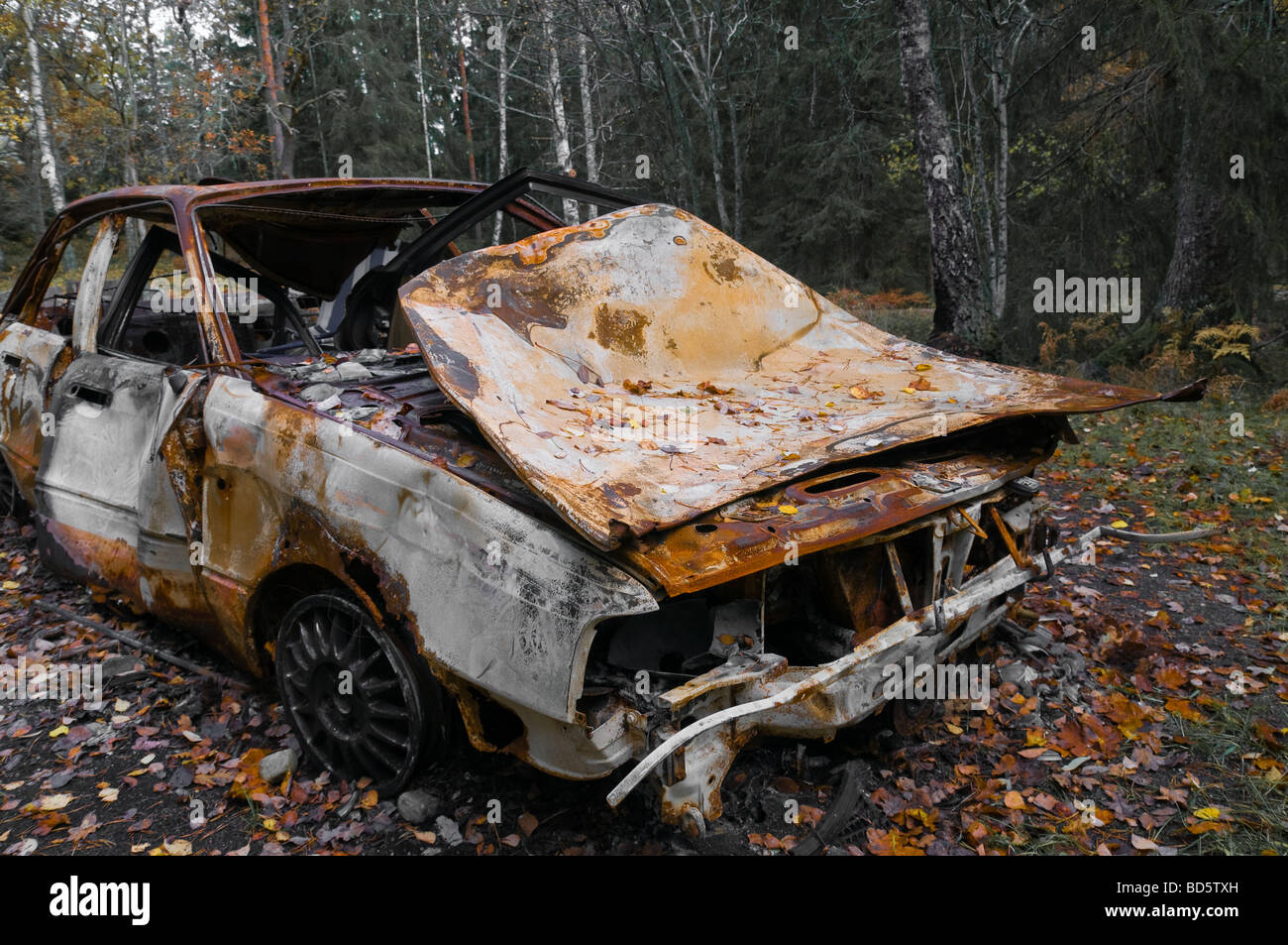 A rusty old car wreck in a forest Stock Photo - Alamy