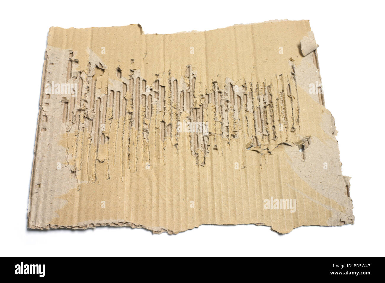 Piece of Soiled Cardboard Stock Photo - Alamy