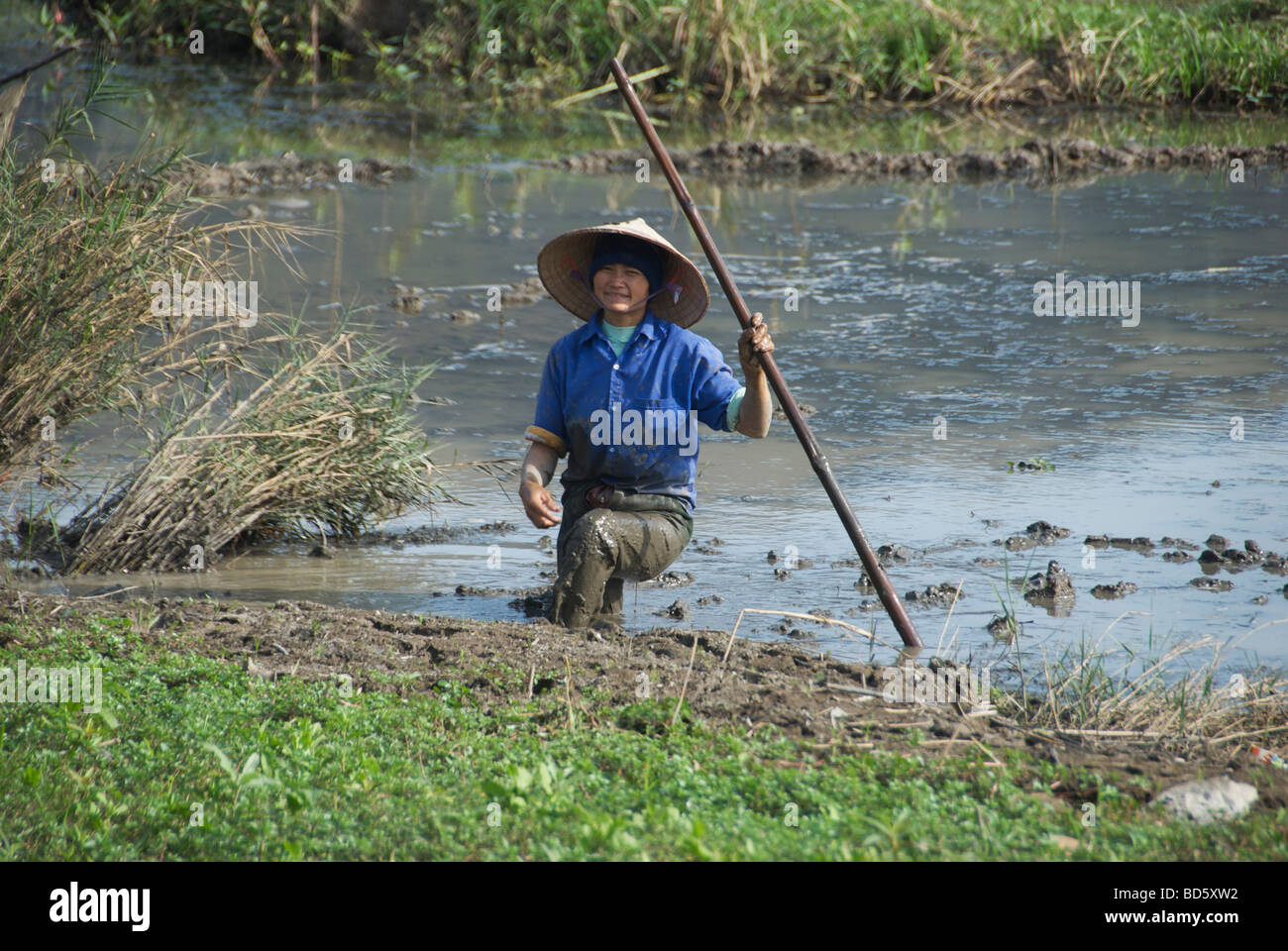 Peasant rice farmers vietnam hi-res stock photography and images - Alamy