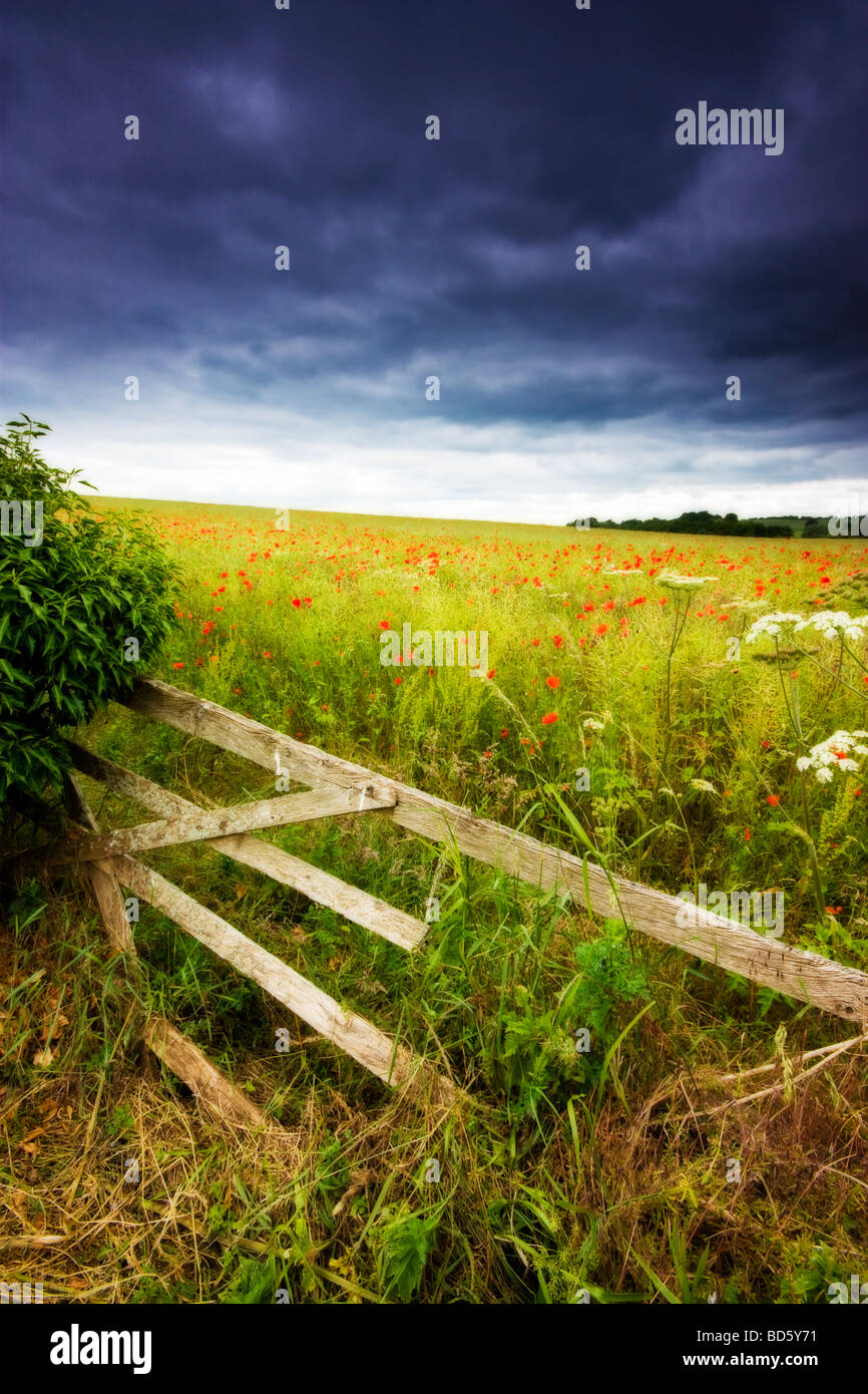 Old field gate hi-res stock photography and images - Alamy