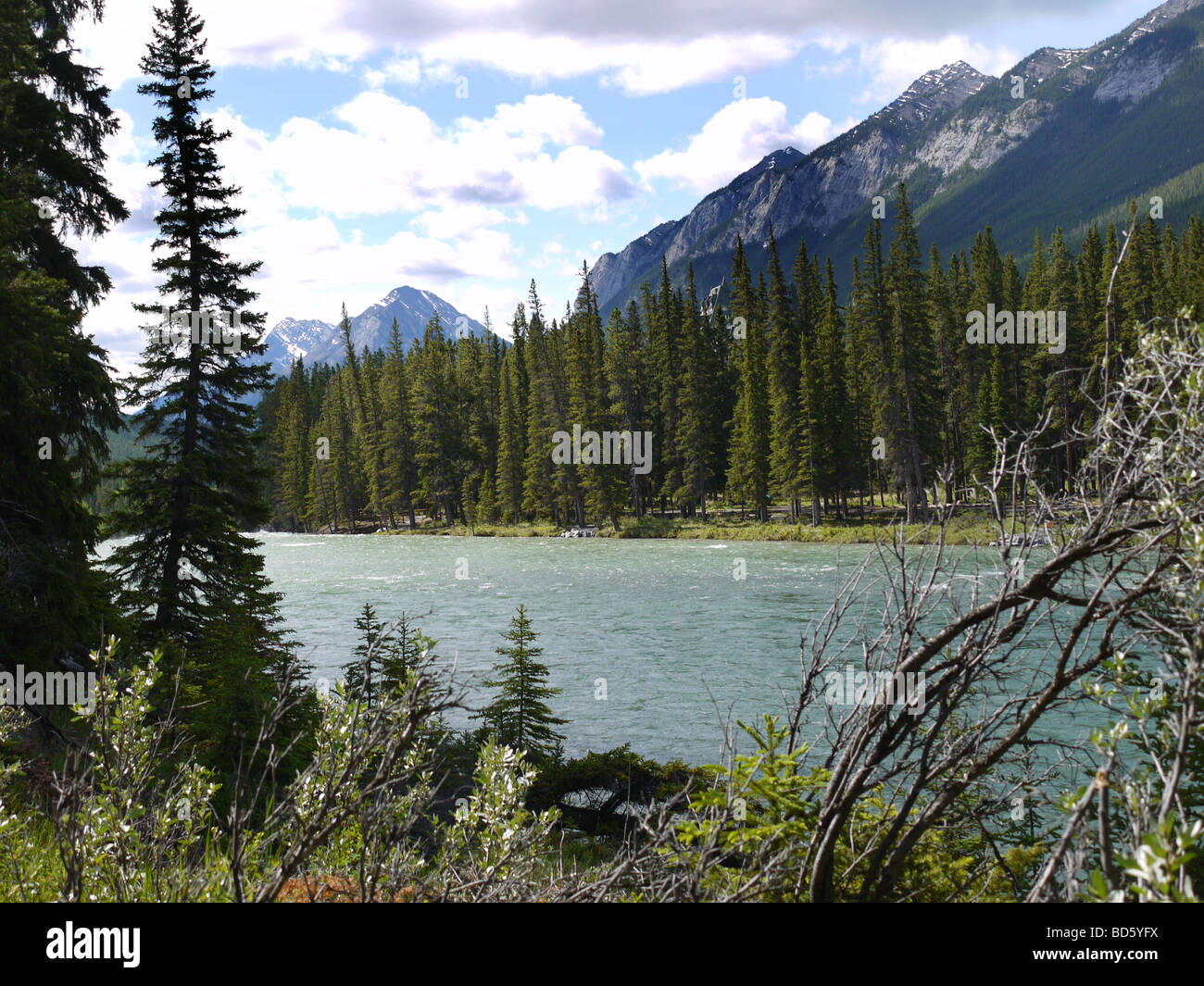 Bow River in Banff National Park in Alberta Canada Stock Photo - Alamy